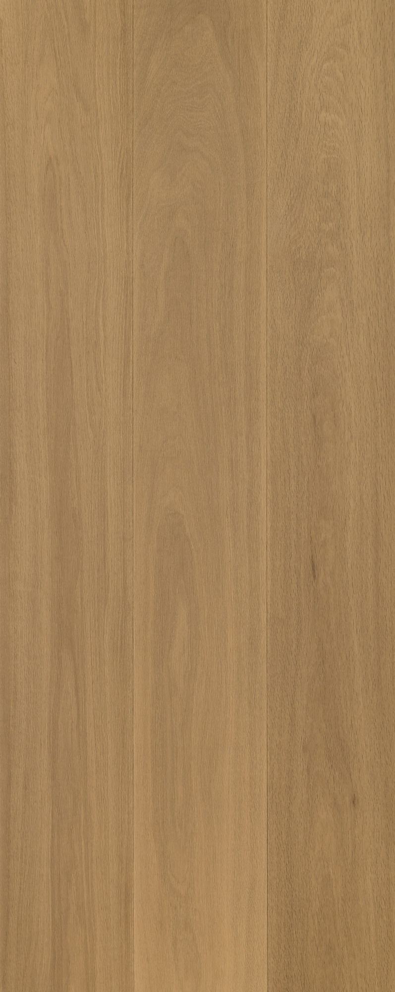 Tahini • Storey Floors